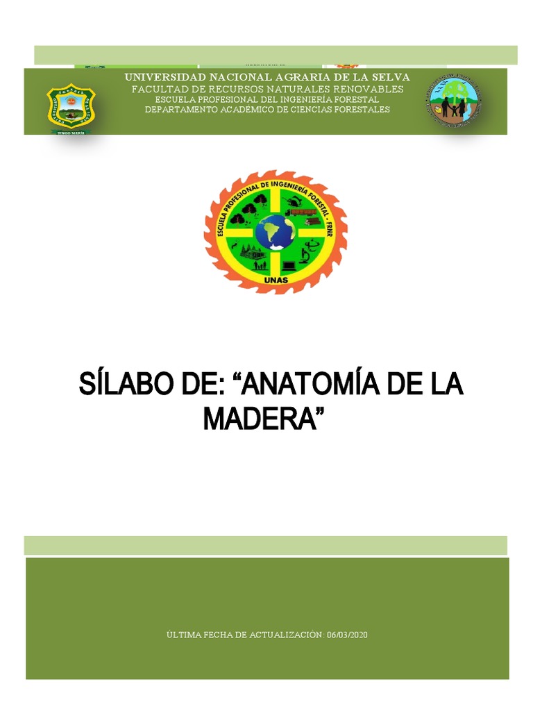 Anatomía de la Madera en Ingeniería Forestal | PDF | Evaluación | Los ...