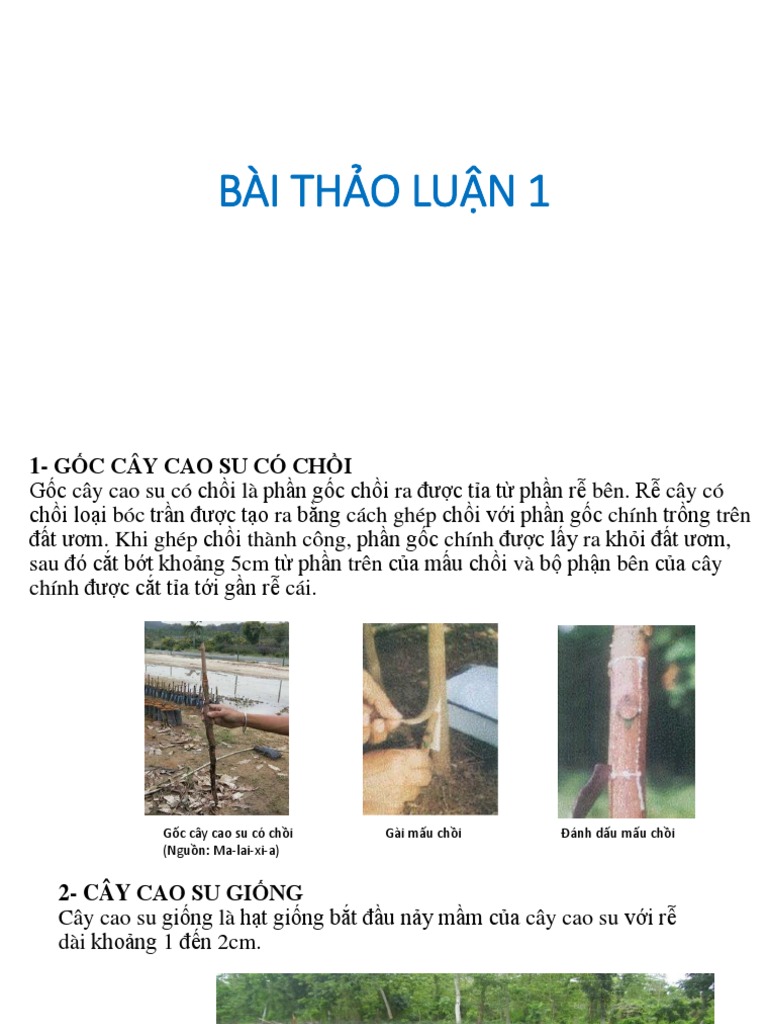 Thao Luan - 01 | PDF