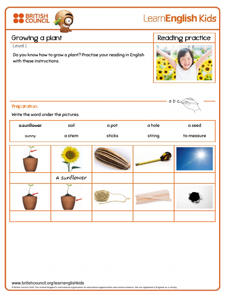 Reading Practice Growing A Plant Worksheet | PDF | Agriculture | Organisms