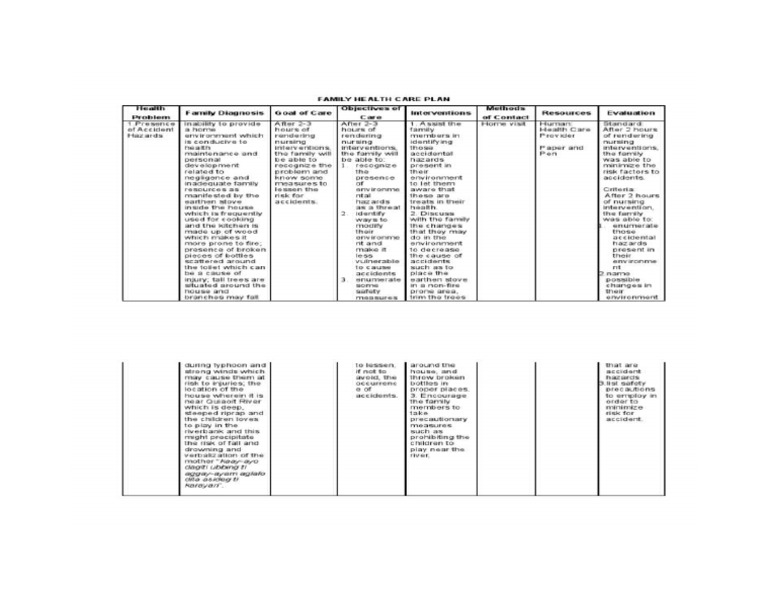FNCP Family Nursing Care Plan | PDF