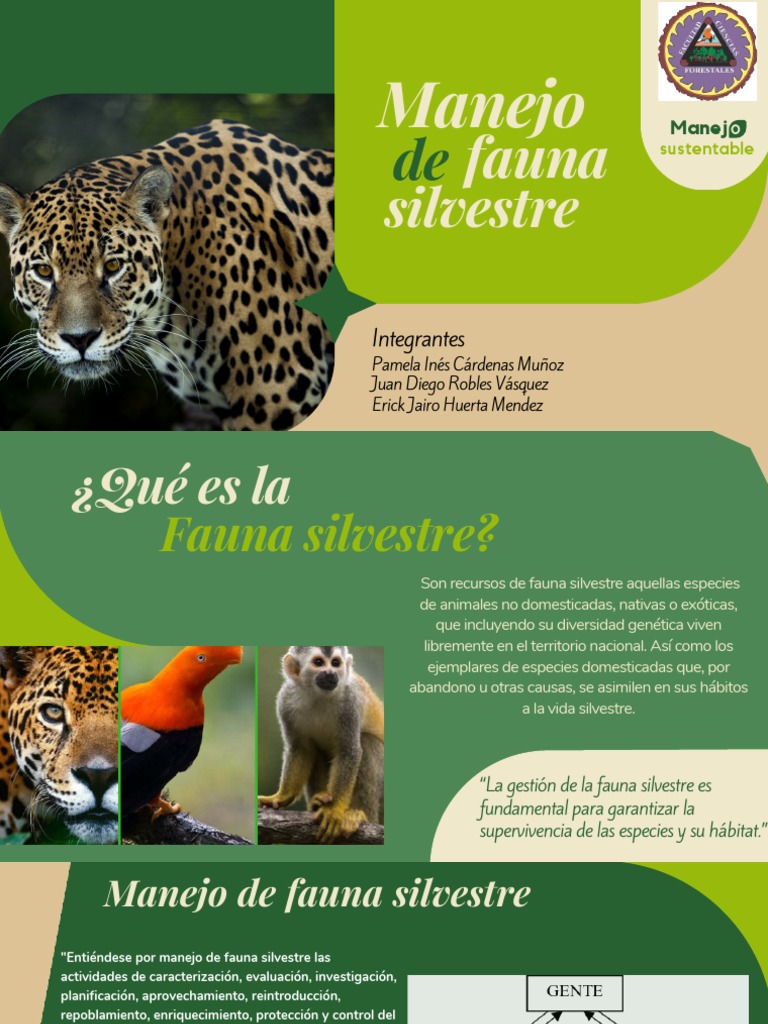 Manejo de Fauna Silvestre | PDF | Fauna | Los bosques