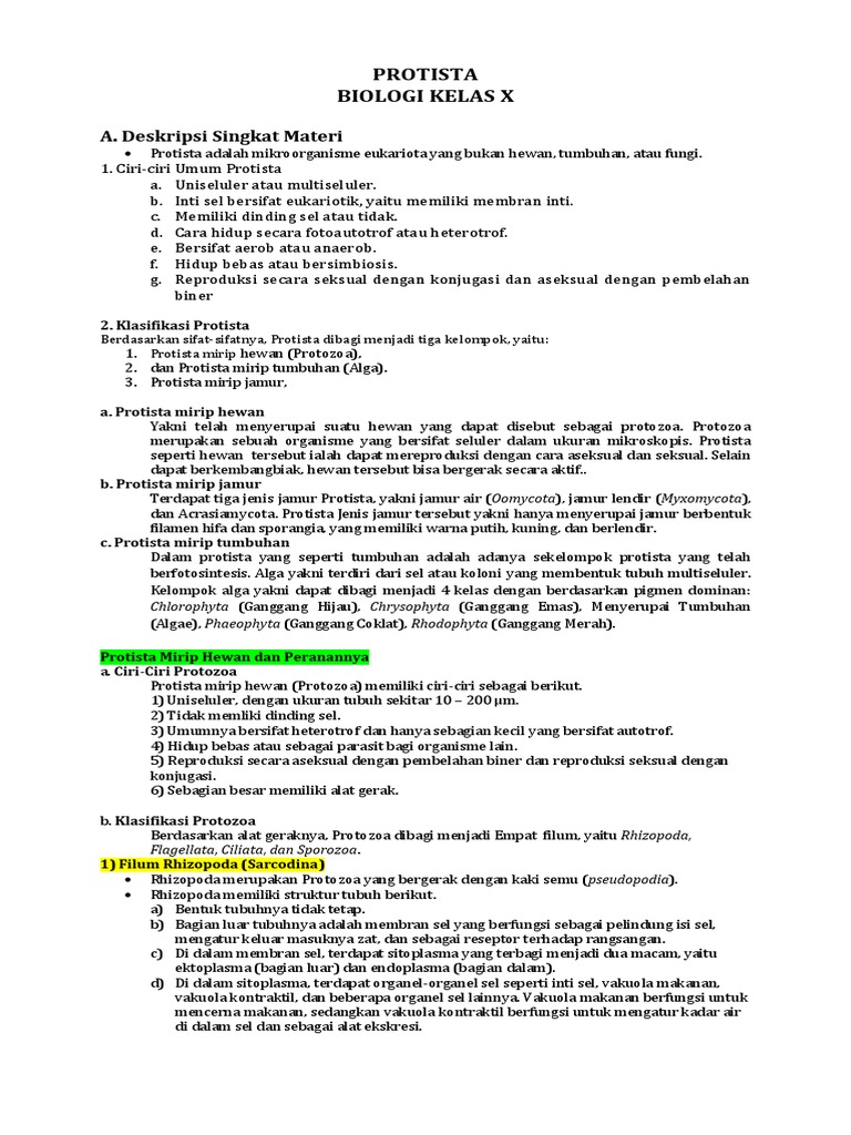 Materi Protista Kelas X Pdf