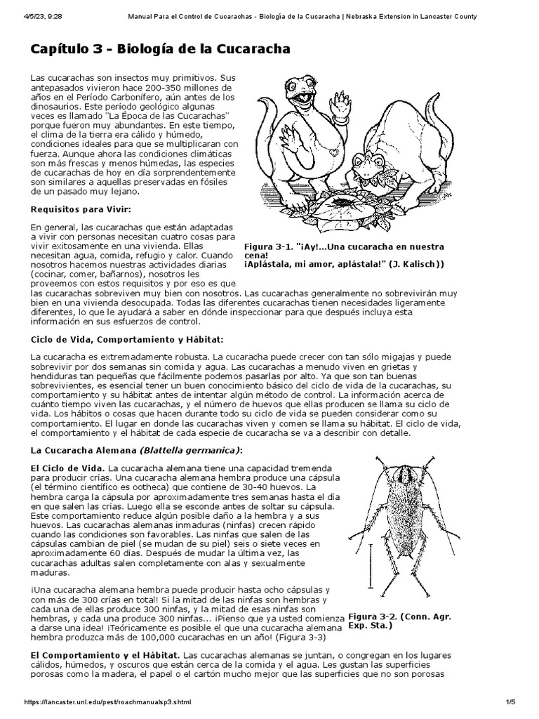 Manual Para el Control de Cucarachas - Biología de la Cucaracha | PDF ...