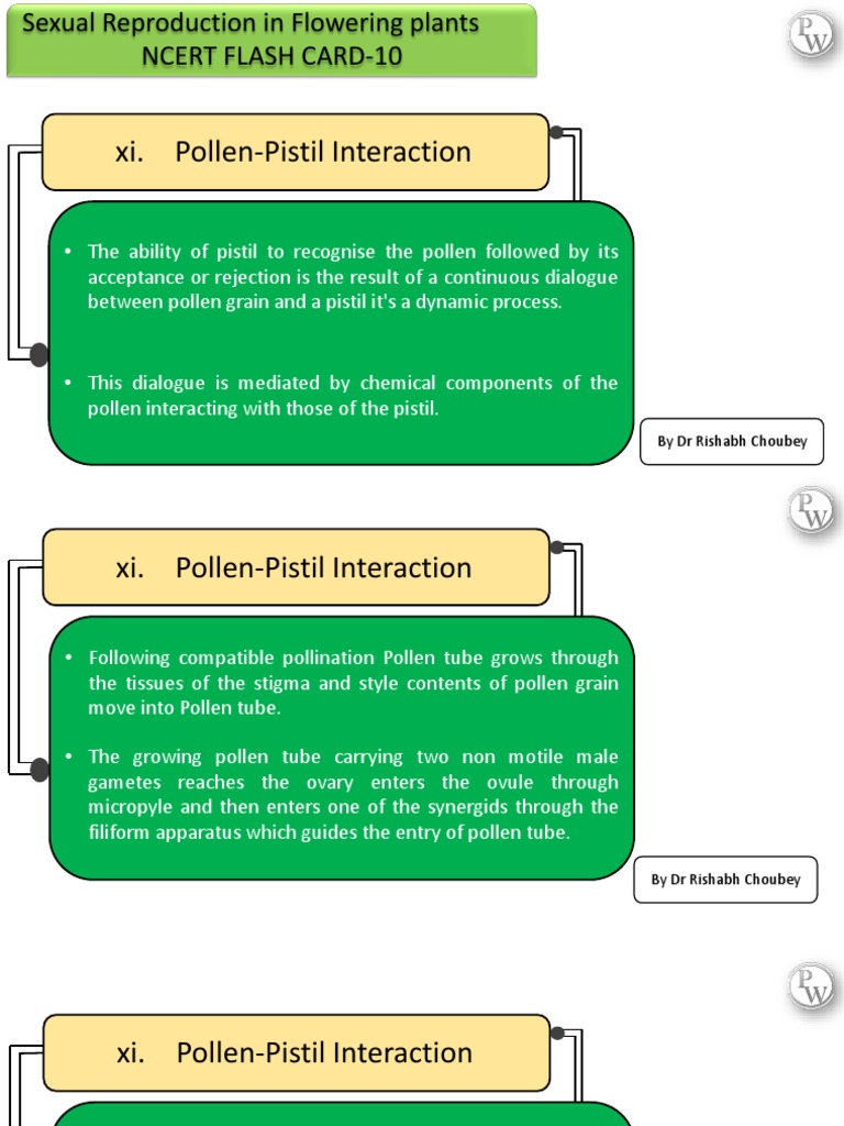 Sexual Reproduction in Flowering Plant Ncert Flash Card 10 | PDF