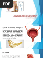 Colocacion y Retiro de Sonda Foley 2021 | PDF | Sistema urinario | Medicina