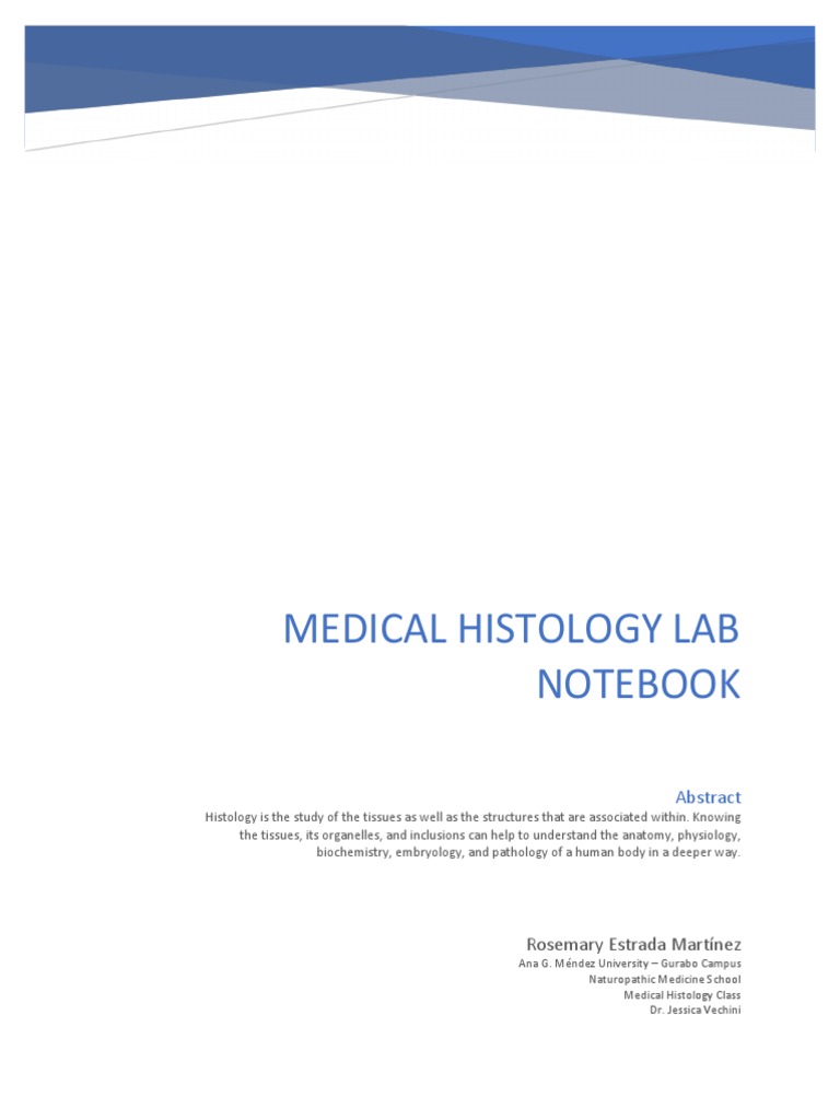 Histology Lab Report by Rosemary Estrada | PDF | Epithelium | Bone