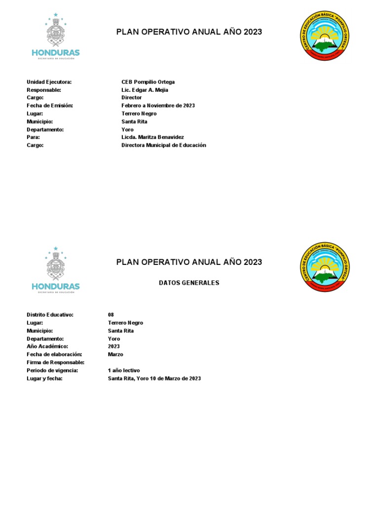Plan Operativo Anual Año 2023 | PDF | Plan de estudios | Enseñando
