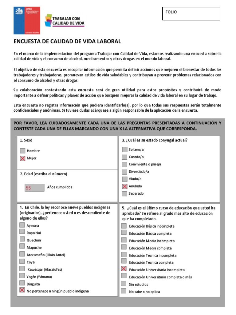 Encuesta Laboral: Calidad de Vida y Consumo | PDF | Cannabis (Droga ...