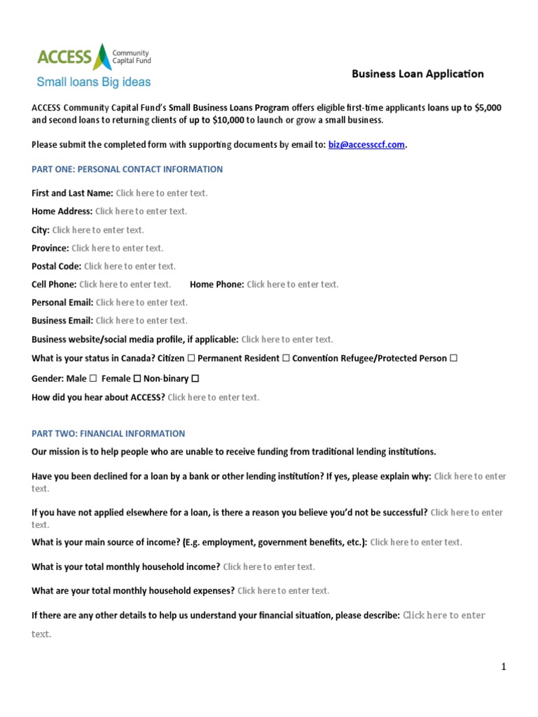 ACCESS Business Loan Application Form | PDF | Loans | Credit History