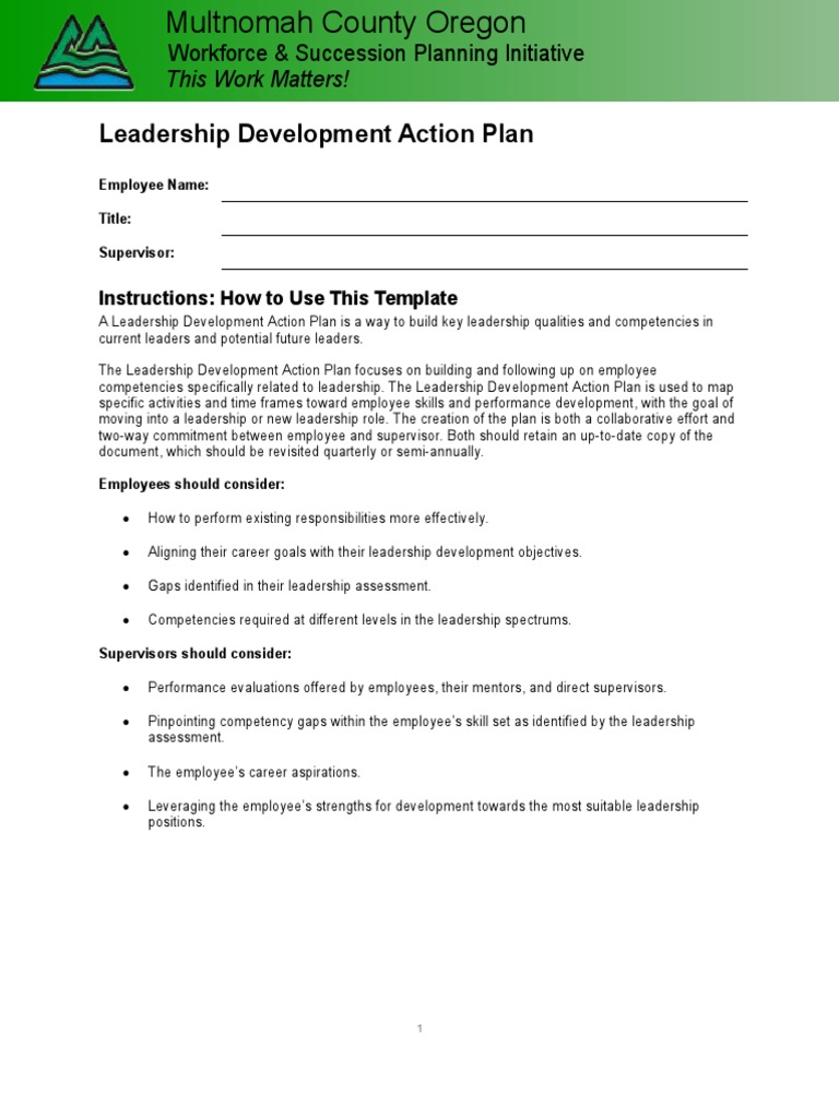 Leadership Development Plan | PDF | Leadership | Employment