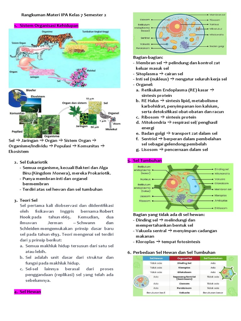 Rangkuman Materi IPA Kelas 7 SMT 2 | PDF