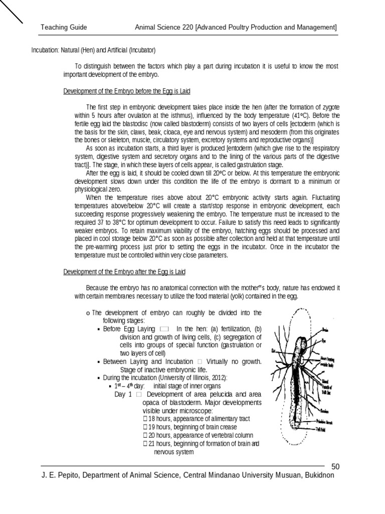 Poultry Handouts For Final Exam | PDF | Egg | Embryo