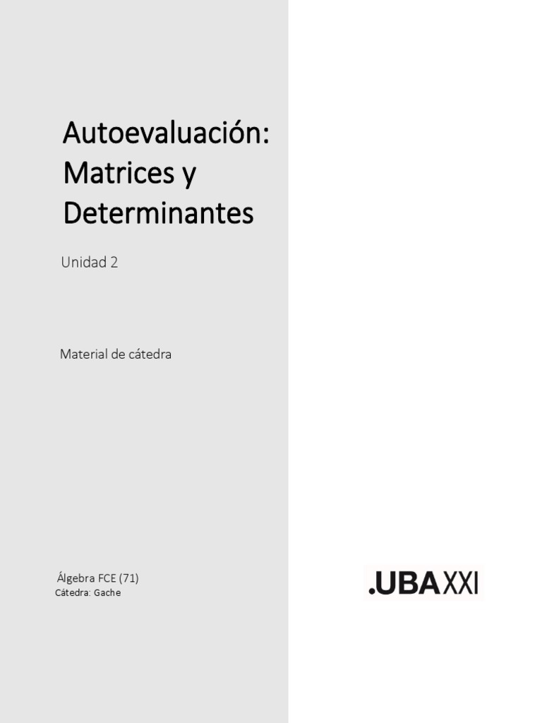 U2 - Autoevaluación - Matrices y Determinantes - 2022 - 2C | PDF