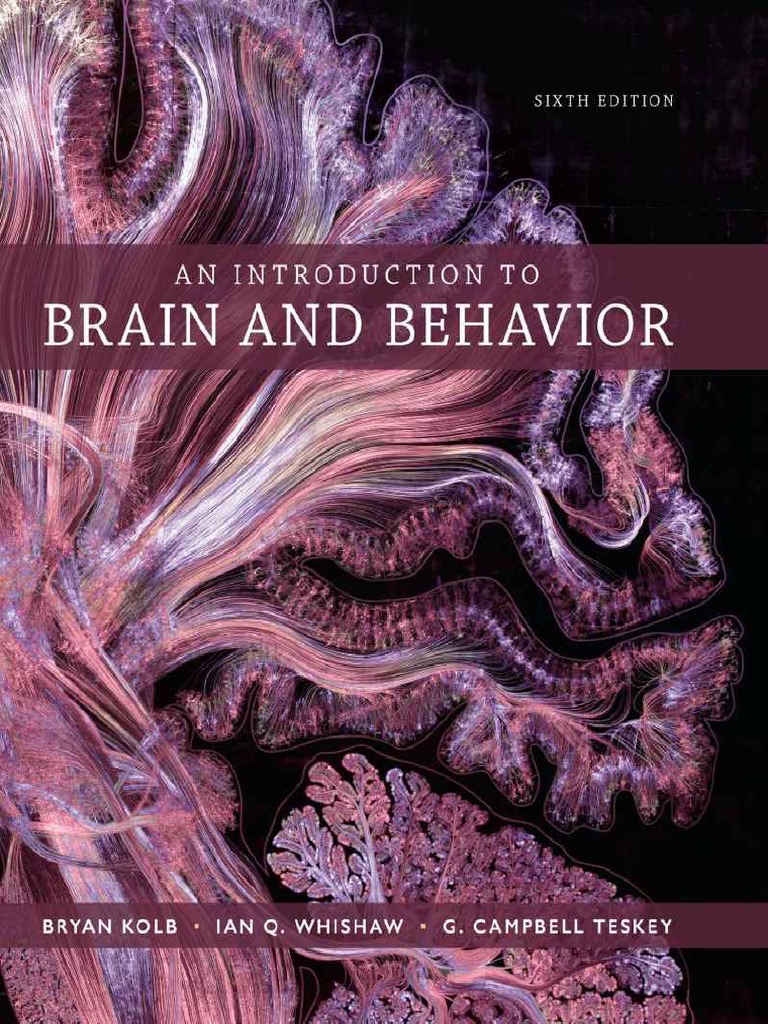 An Introduction To Brain and Behavior | Download Free PDF | Nervous ...