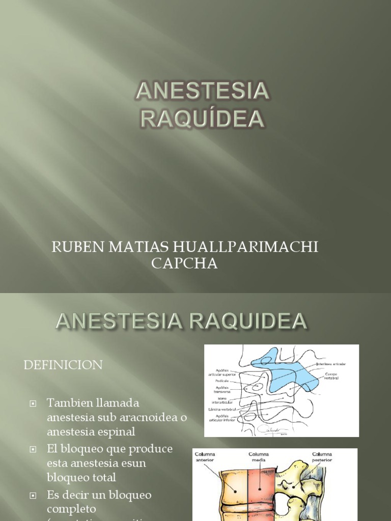 Anestesia Raquídea | PDF | Fluido cerebroespinal | Anatomia animal