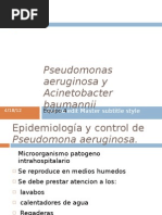 Flora Residente, Flora Transitoria, Transmisión Cruzada y Fómites | PDF ...