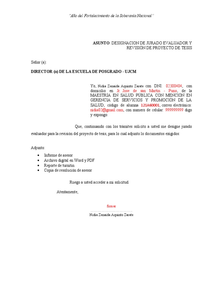 3) Modelo de Solicitud JCM | PDF