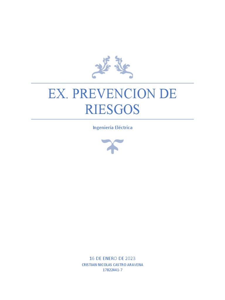 Ex. Prevencion Riesgos Cristian Castro | PDF
