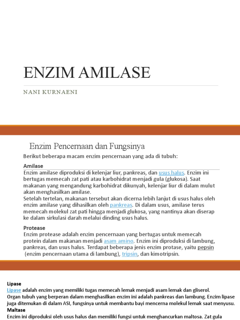 Enzim Amilase Dan Lipase | PDF