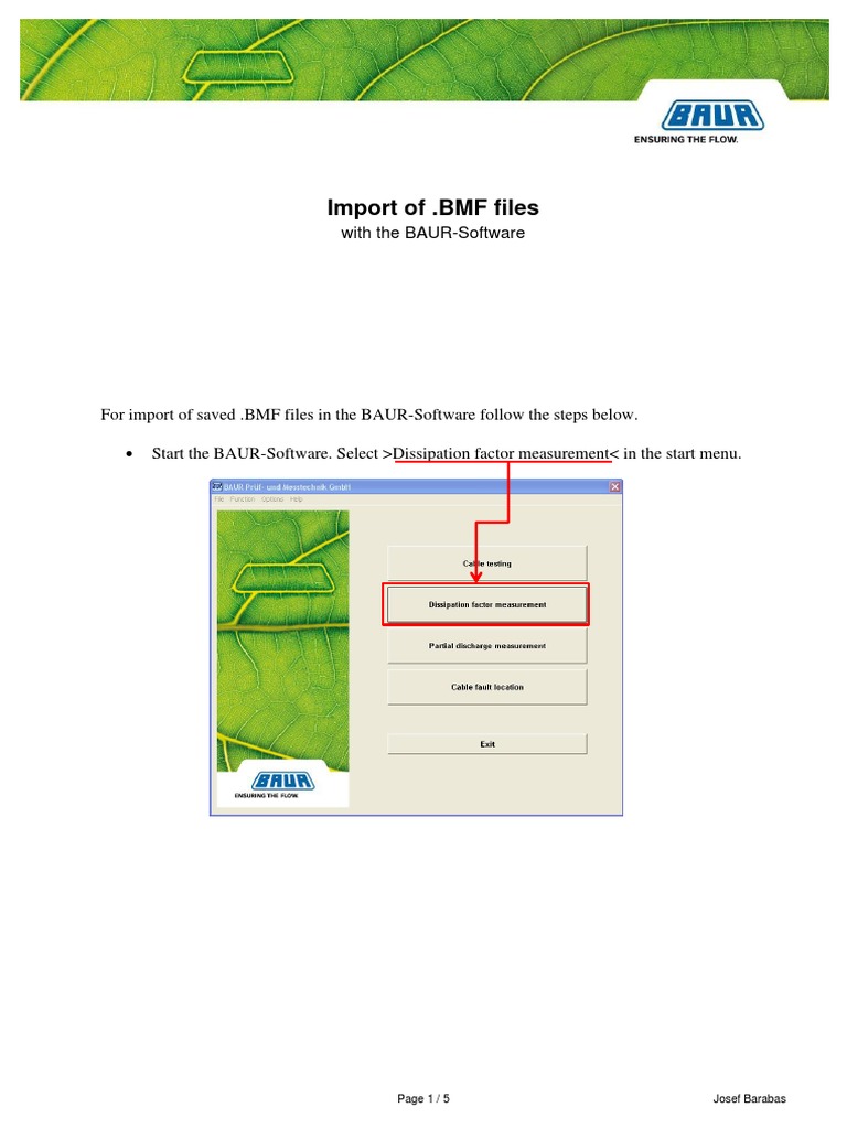 Import of BMF Files | PDF