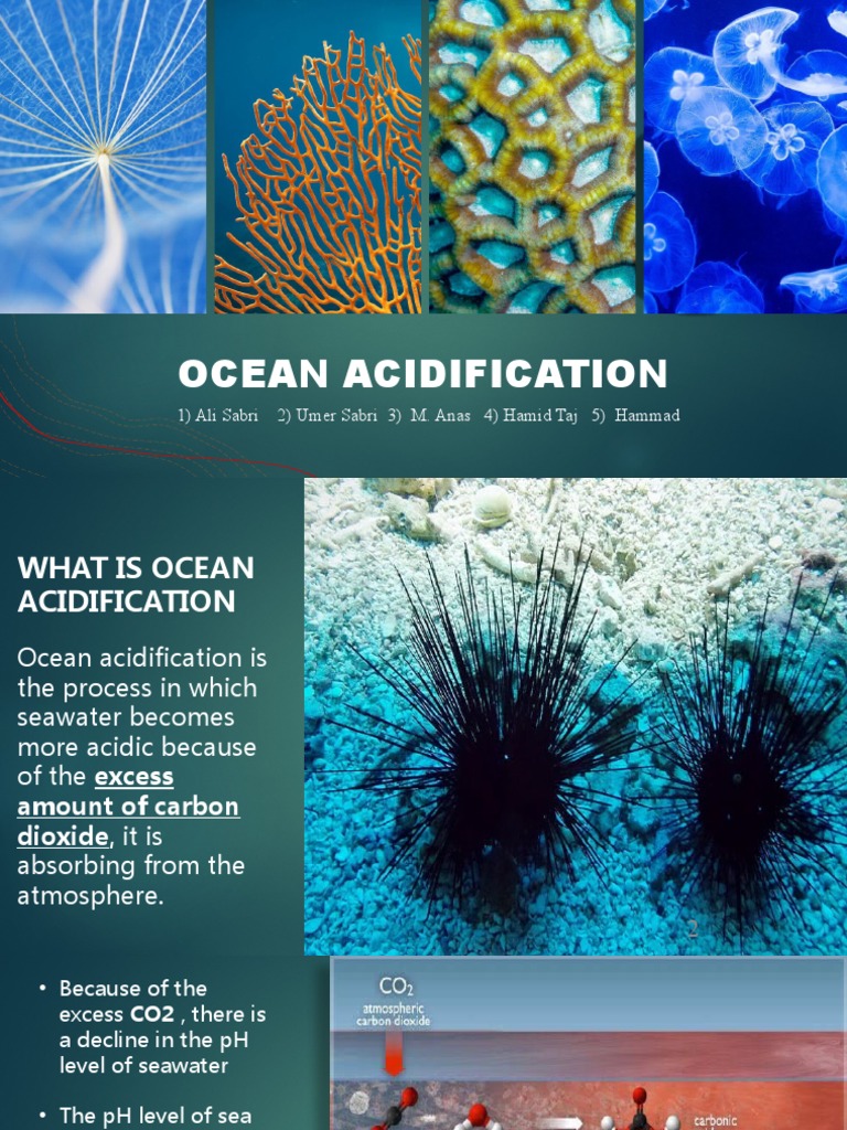 Ocean Acidification | PDF | Ocean Acidification | Oceans