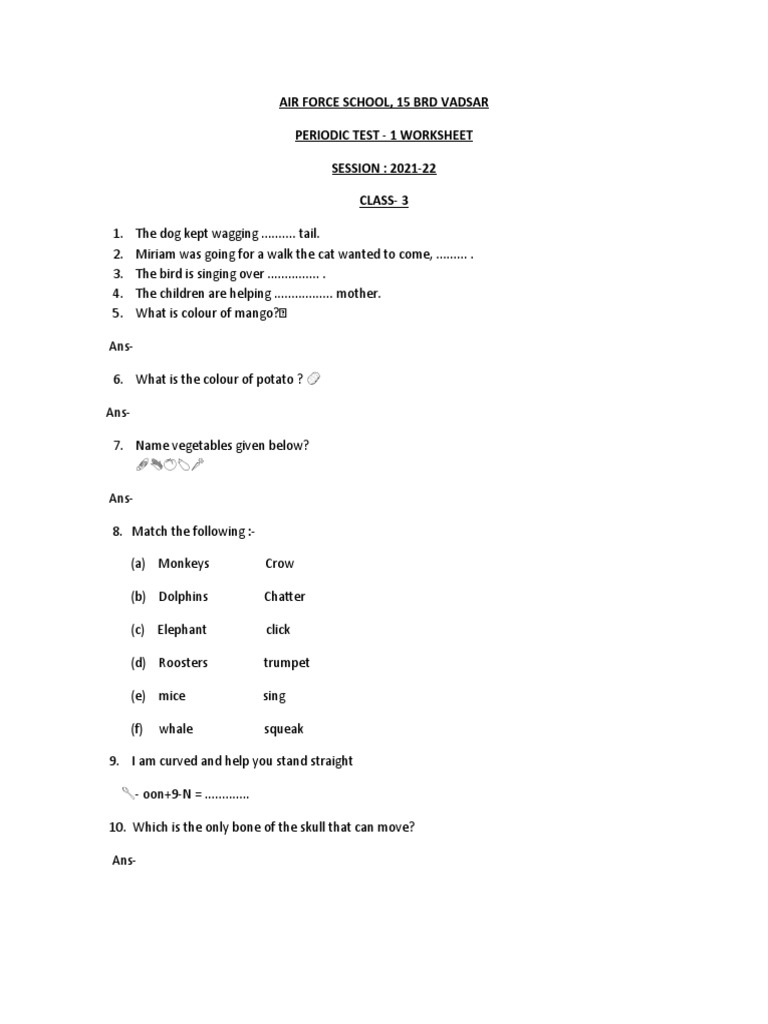 Question Paper-WPS Office Class 3 | PDF