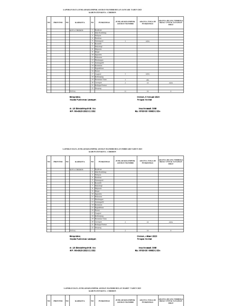 Laporan Kelompok Asuhan Mandiri Cirebon | PDF