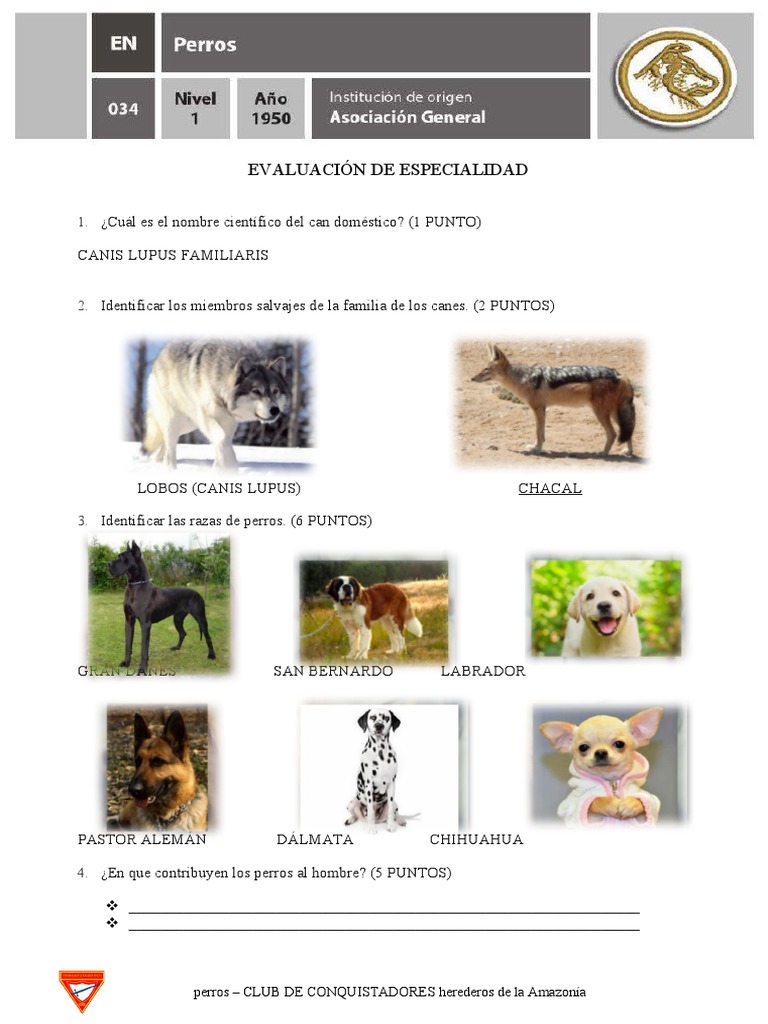 EN-034 Perros EXAMEN RESUELTO | PDF