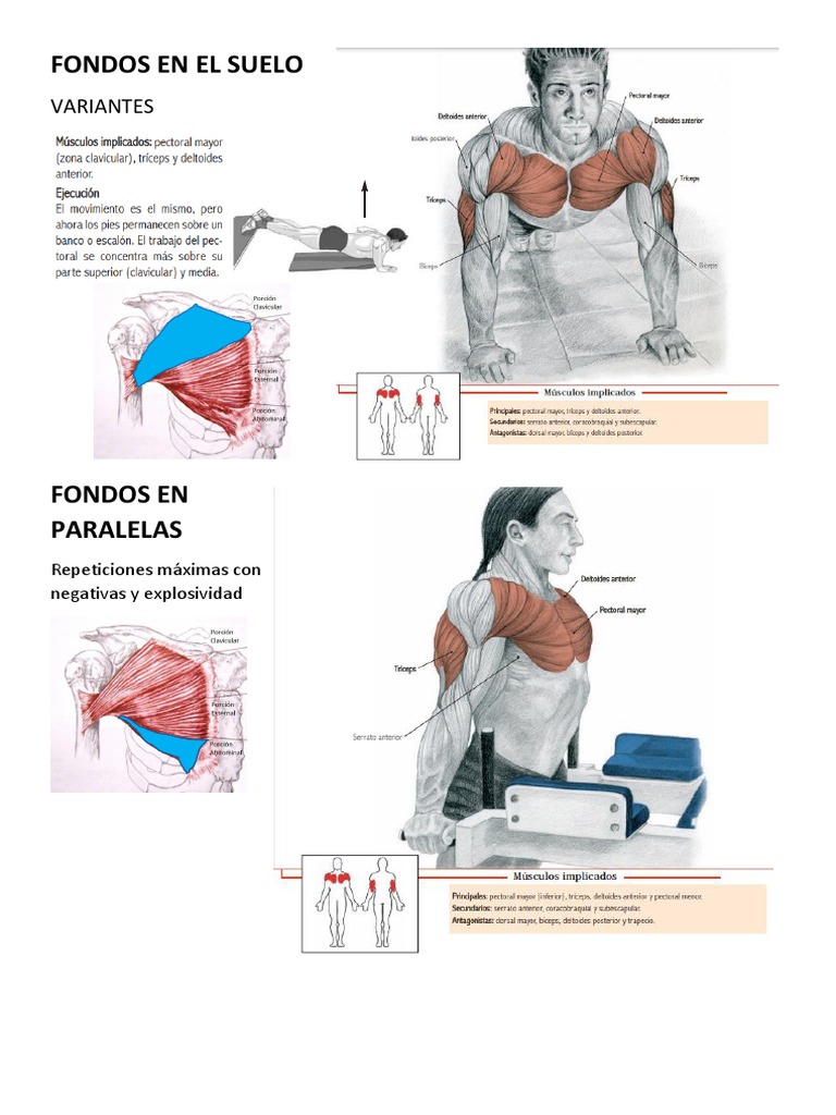 Ejercicios de Pecho y Espalda en Barra | PDF