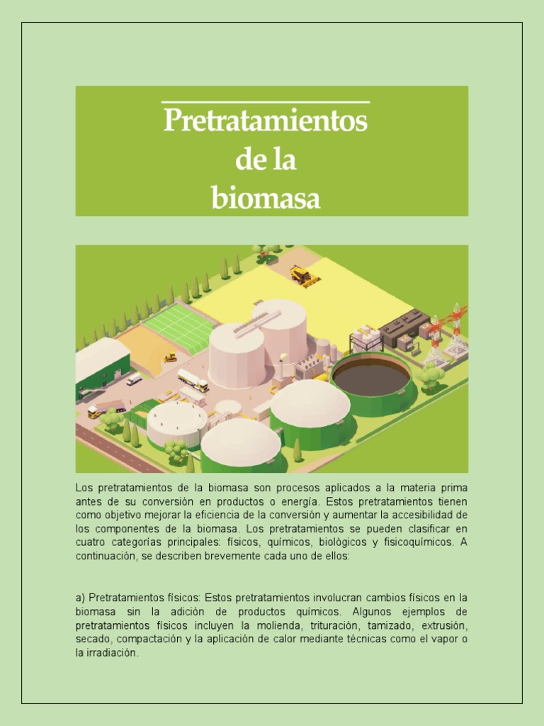 Identificar Los Pre Tratamiento de La Biomasa | PDF | Biomasa | Química
