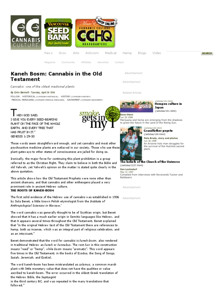 Kaneh Bosm: Cannabis in the Bible | PDF | Solomons | Serpents In The Bible