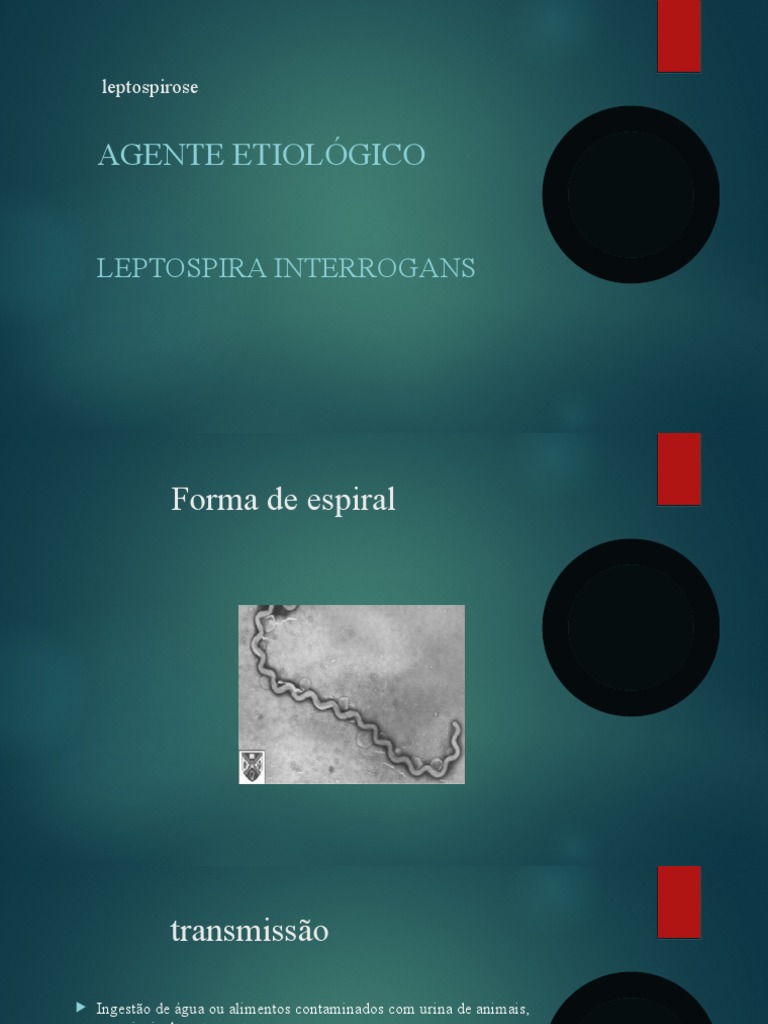 Lepto Spi Rose | PDF | Bem-estar | Ciências e Matemática