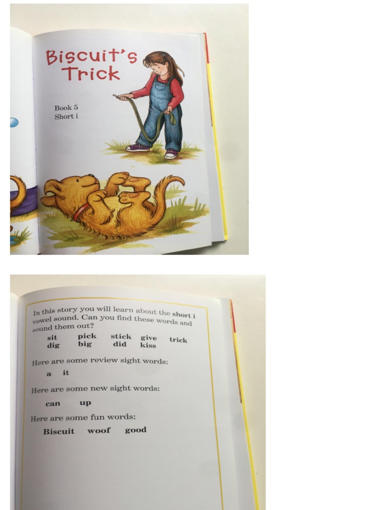 Biscuit S Trick | PDF