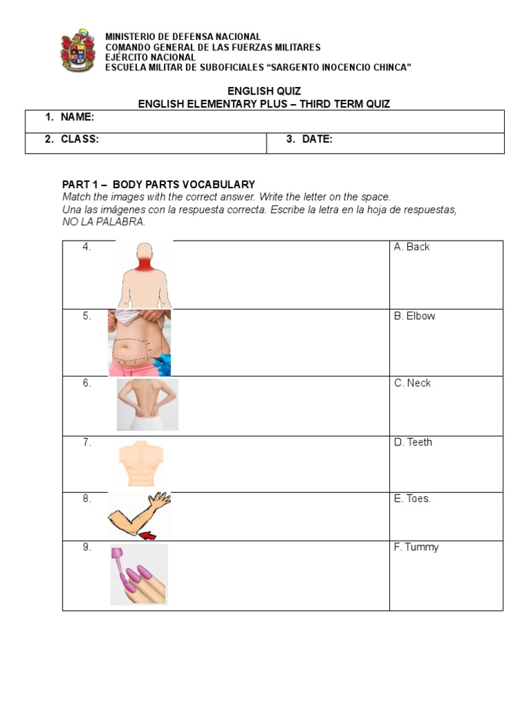 3P - Third Term - OPTION FOR 03, M3 | PDF | Linguistic Typology | Syntax