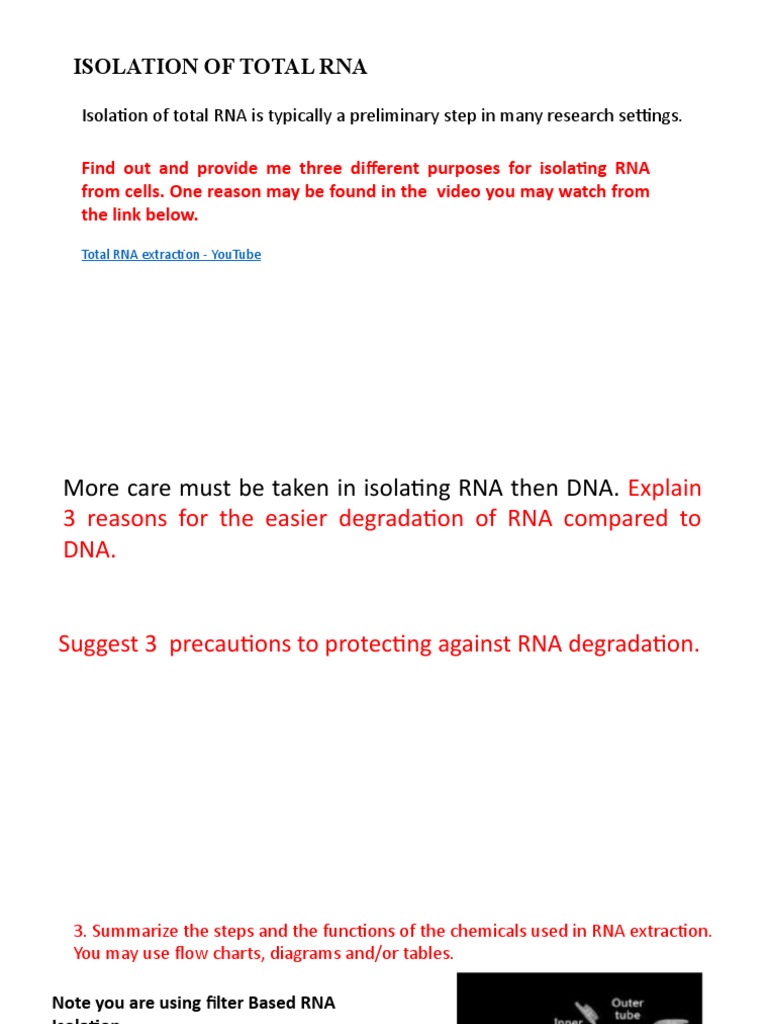 Isolation of RNA | PDF | Gel Electrophoresis | Ribosomal Rna
