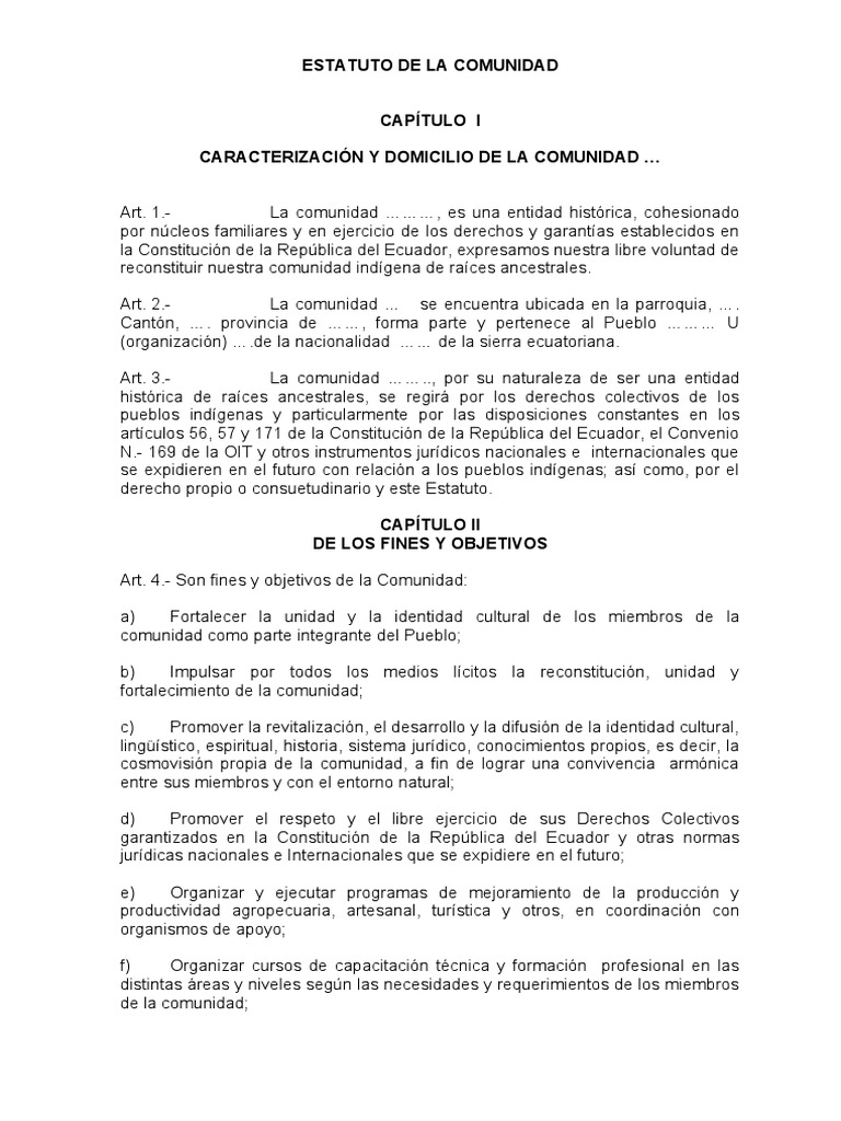 Modelo de Estatutos | PDF