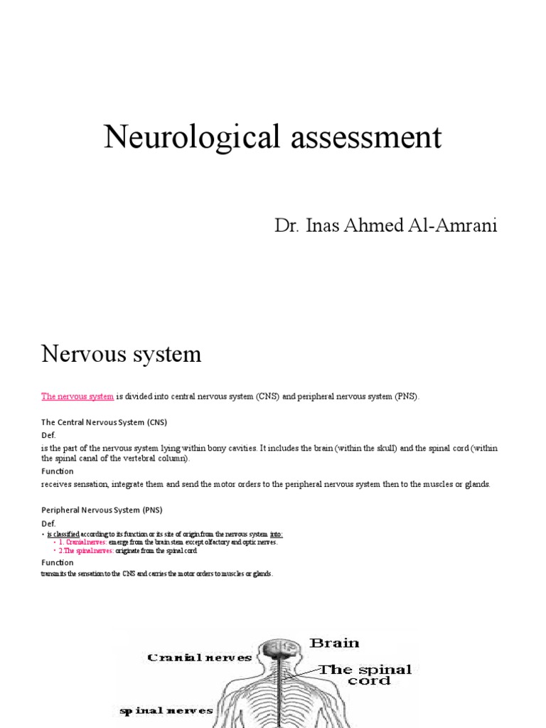 Neurological Assessment | PDF | Central Nervous System | Vertebral Column