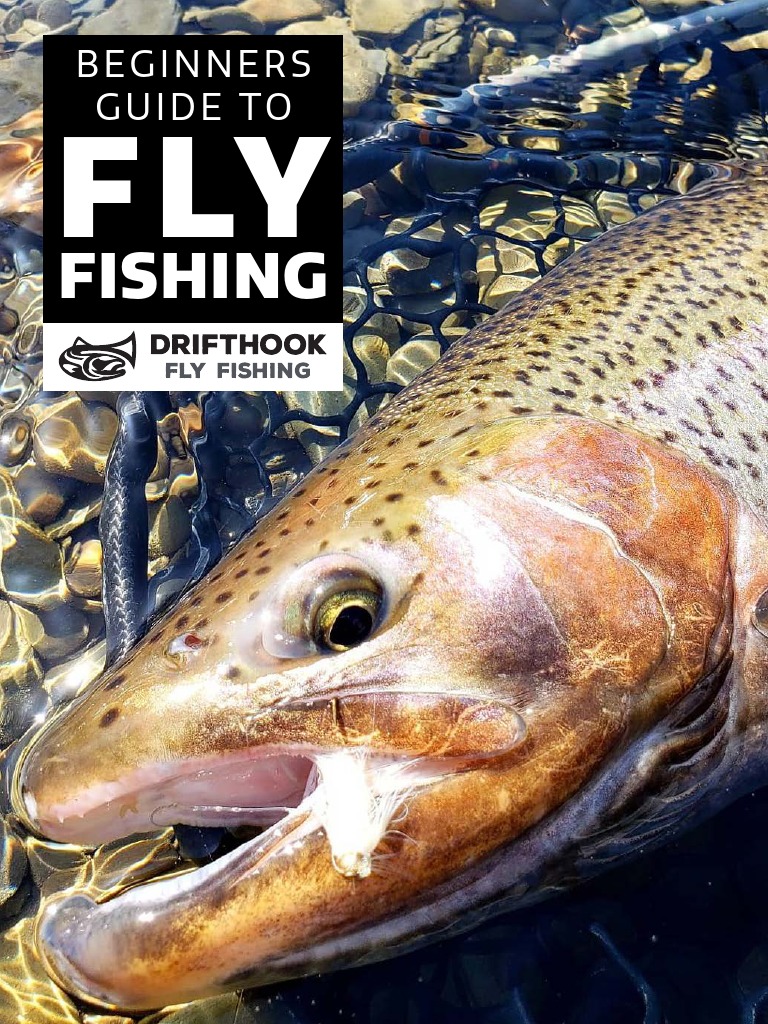 Beginners Guide To Fly Fishing Drifthook Ebook | PDF | Fishing Rod ...