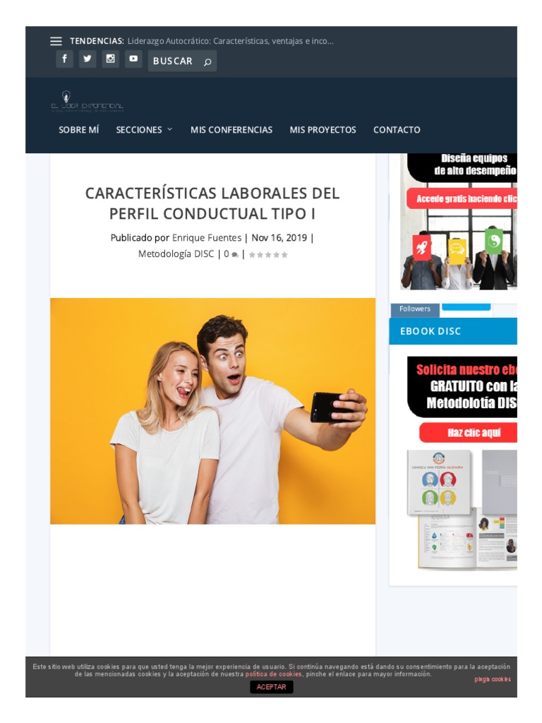 Perfil Conductual 02 Tipo I Características, Fortalezas y Debilidades | PDF | Cookie HTTP ...