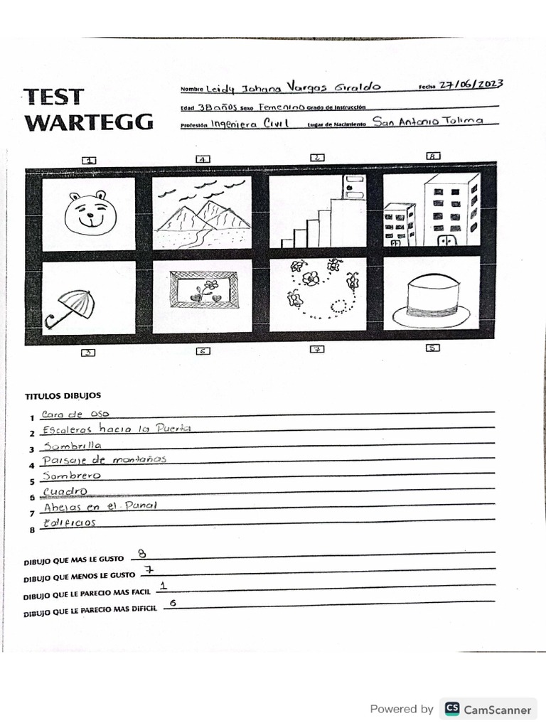 Test Wartegg | PDF