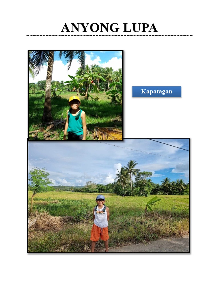 Xander Science | PDF