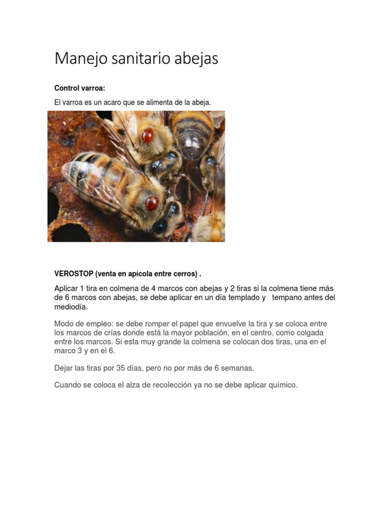 Manejo Sanitario Abejas | PDF Manejo Sanitario Abejas | PDF