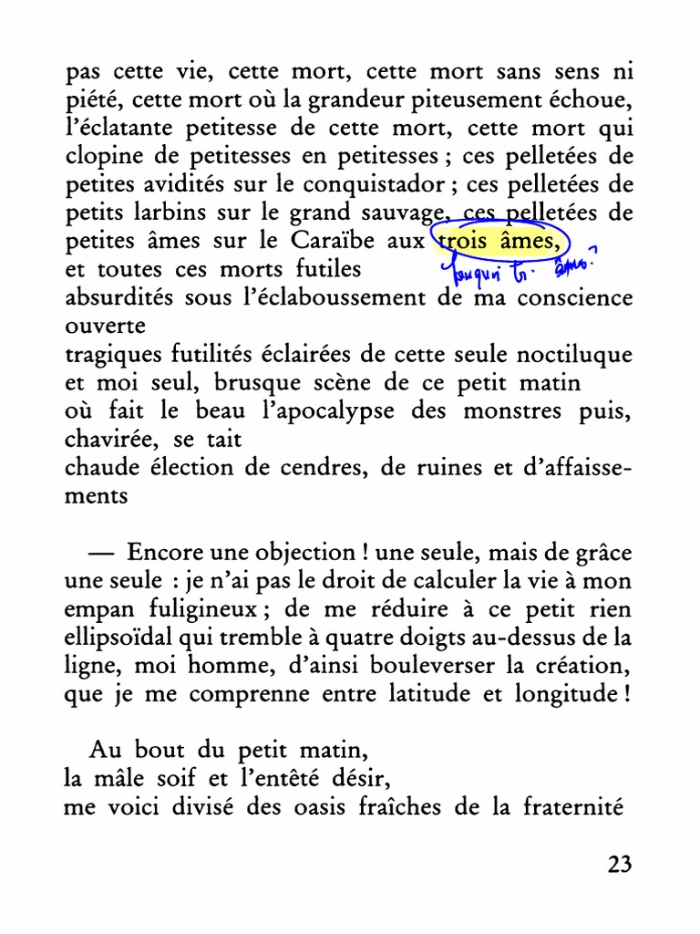 Le Retour au Pays Natal d'Aimé Césaire | PDF | Droit | Jeunes adultes