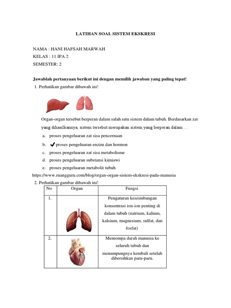 Latihan Soal Sistem Ekskresi - Hani Hafsah 11 Ipa 2 | PDF