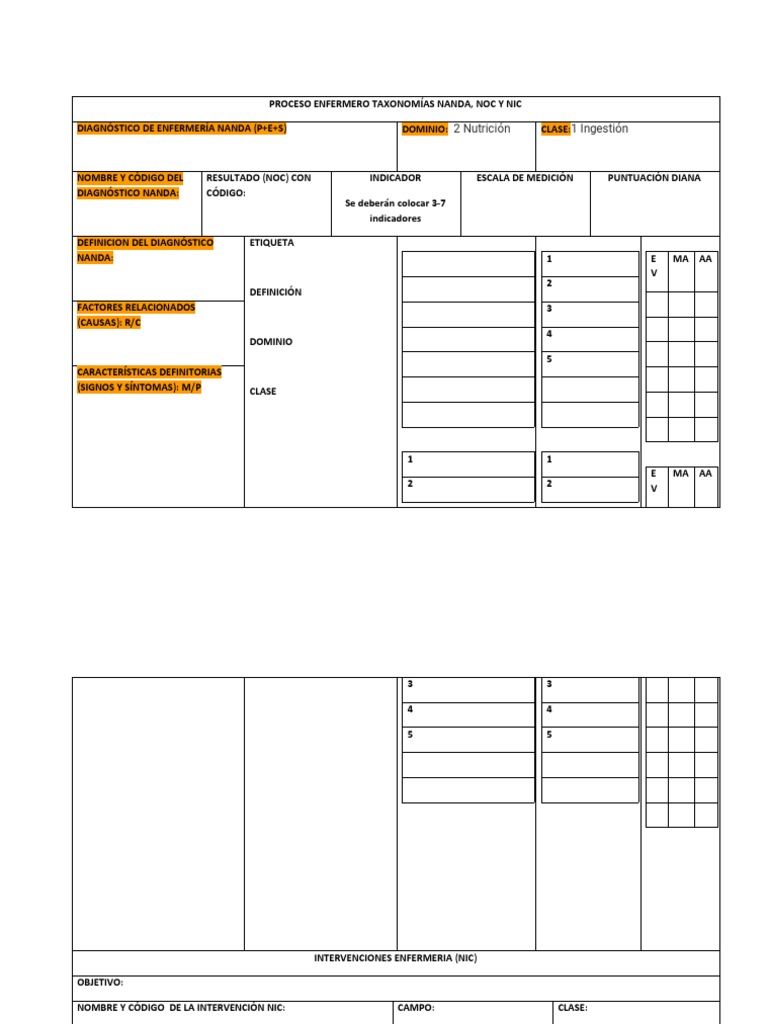 FORMATO PLAN DE CUIDADOS NANDA, NIC Y NOC (1) (1) | PDF