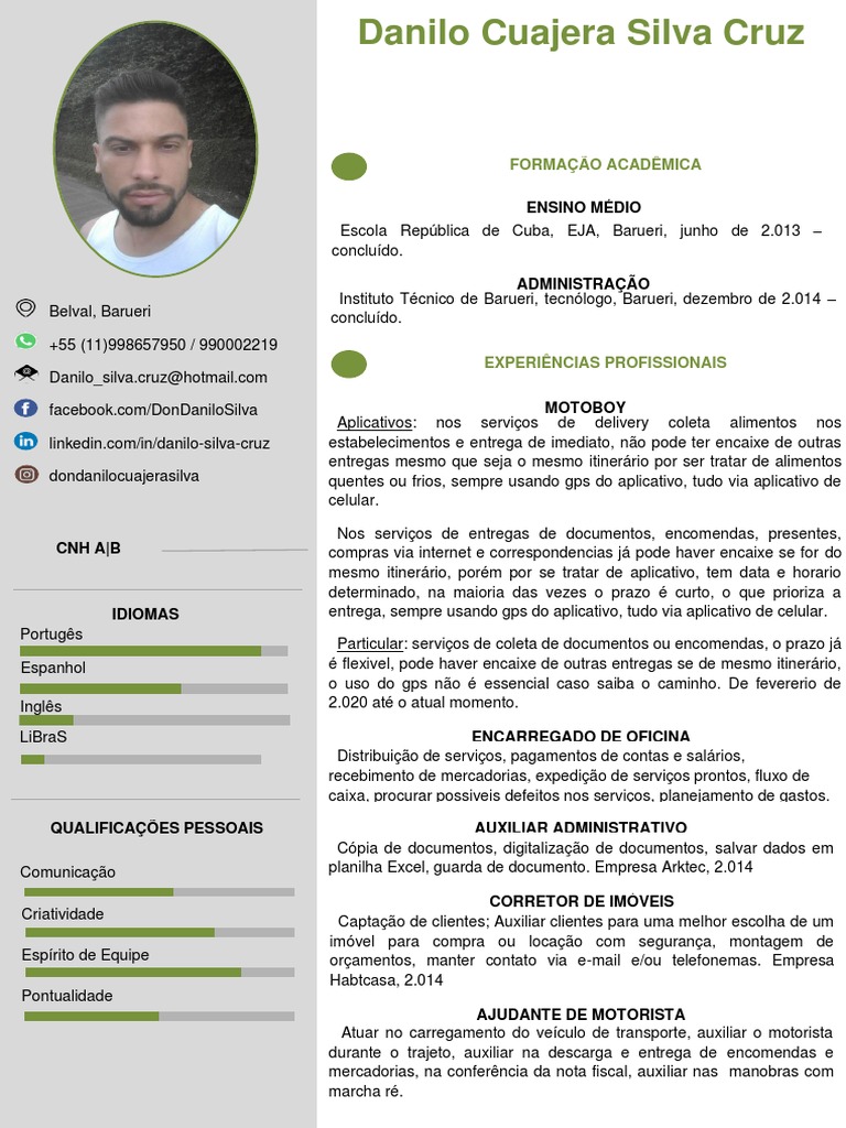 CV Danilo | PDF