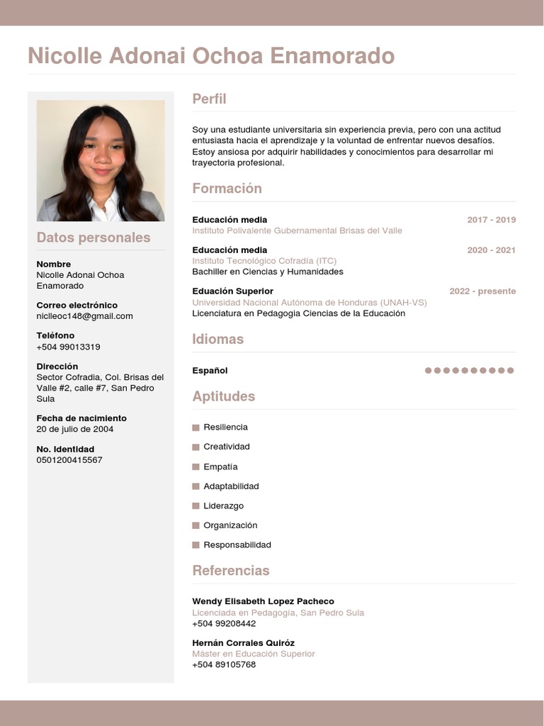 CV Nicolle Adonai Ochoa Enamorado | PDF