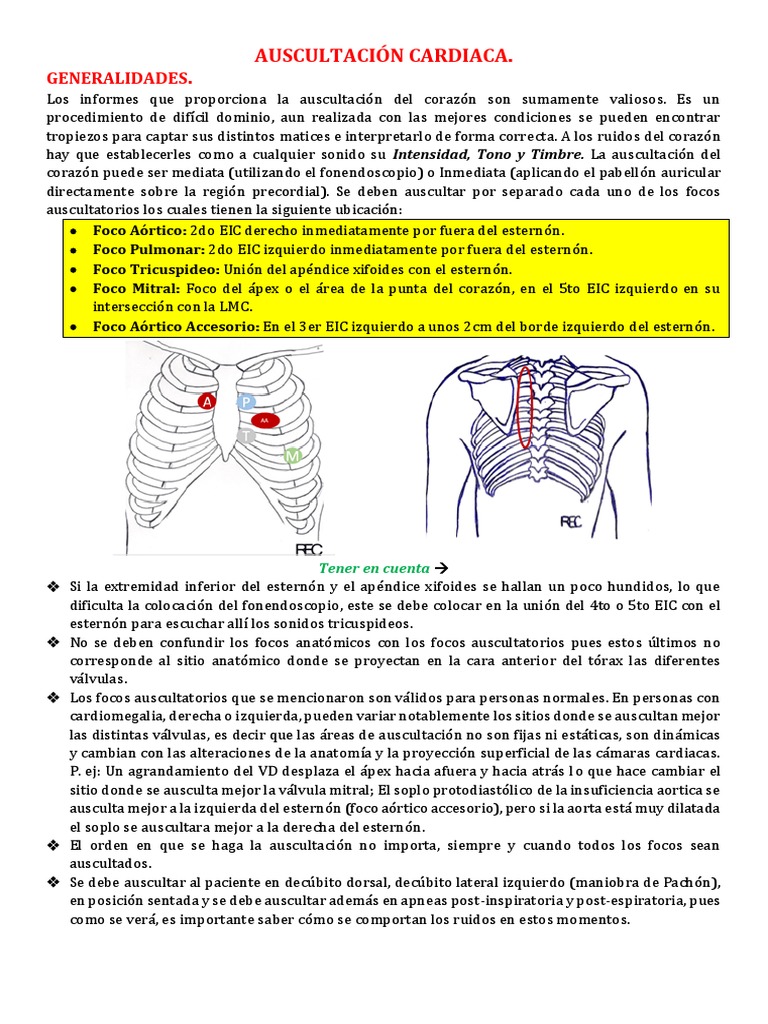 Auscultacion Cardiaca | PDF | Corazón | Ventrículo (corazón)