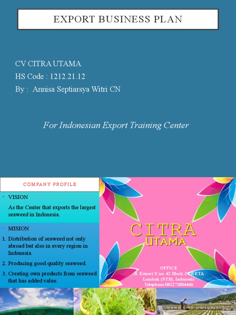 Export Business Plan Annisa | PDF | South Korea | World Politics