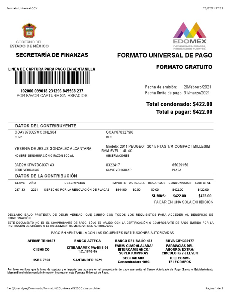 Formato Universal CCV | PDF